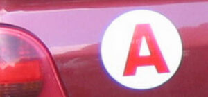 How to Get a French Driver's License as an American: Step-by-Step Guide