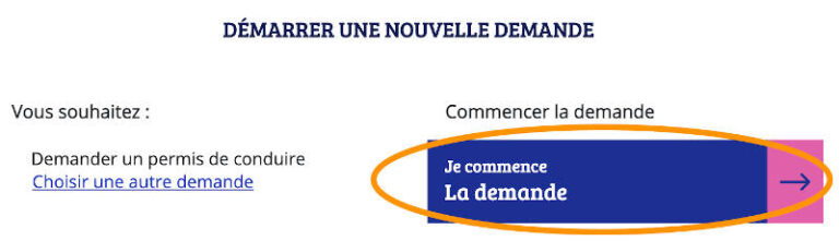French driver's license | Point system and regulations