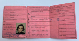 French driver's license | Point system and regulations